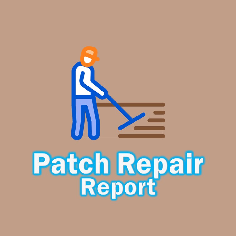 Patch Repair Report